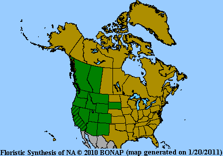 Native Ideals Seed Company: Wildflower Seed Catalog